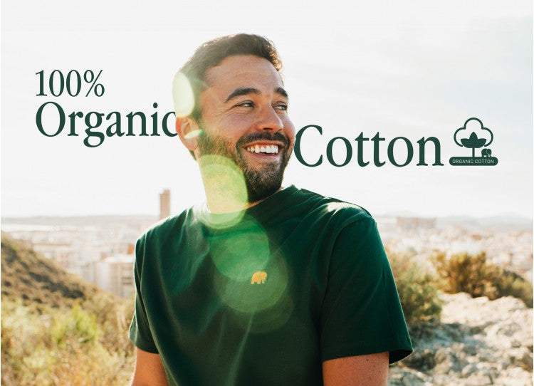 Kombu Green and Burgundy just arrived! – Trendsplant
