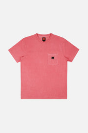 Almond Blossom – Trendsplant